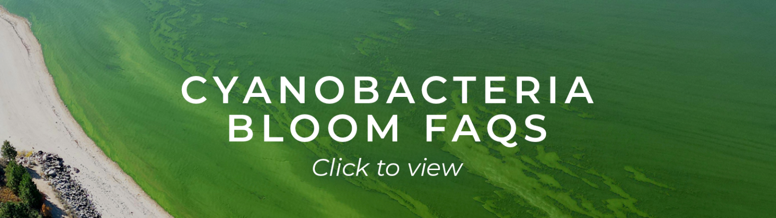 Cyanobacteria Harmful Algal Blooms | Idaho Department of Environmental ...